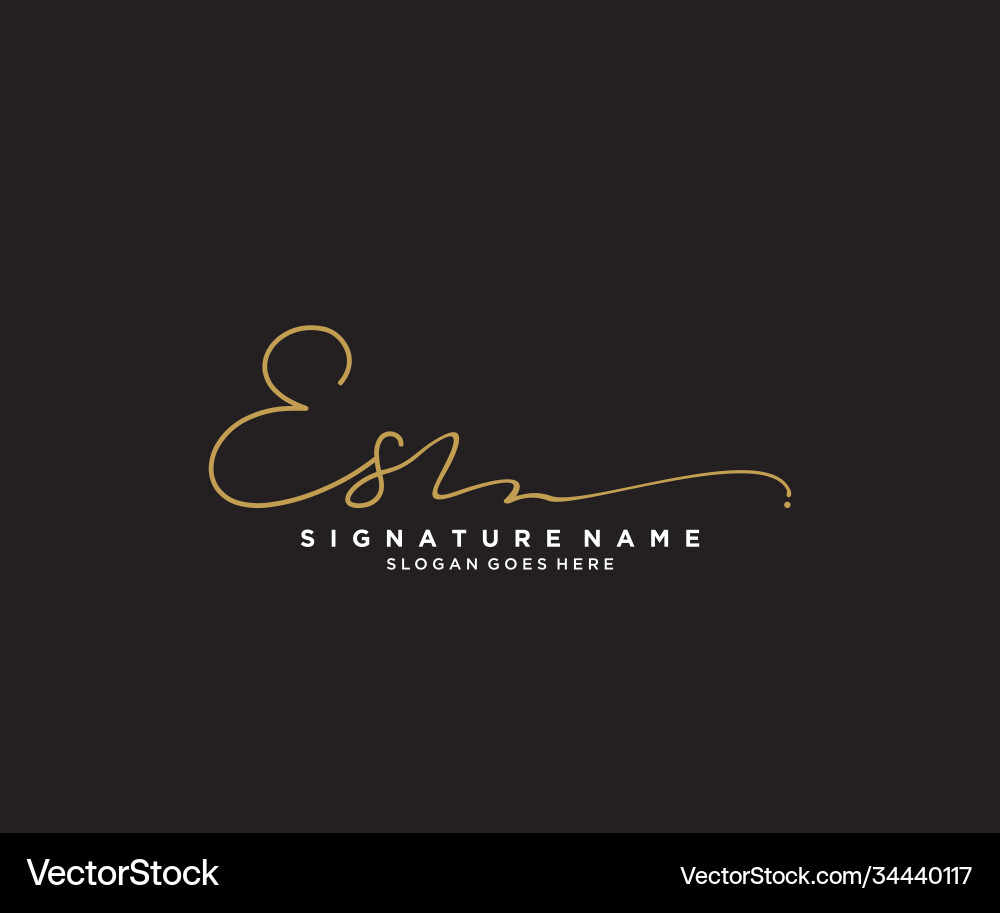 Letter es signature logo template Royalty Free Vector Image
