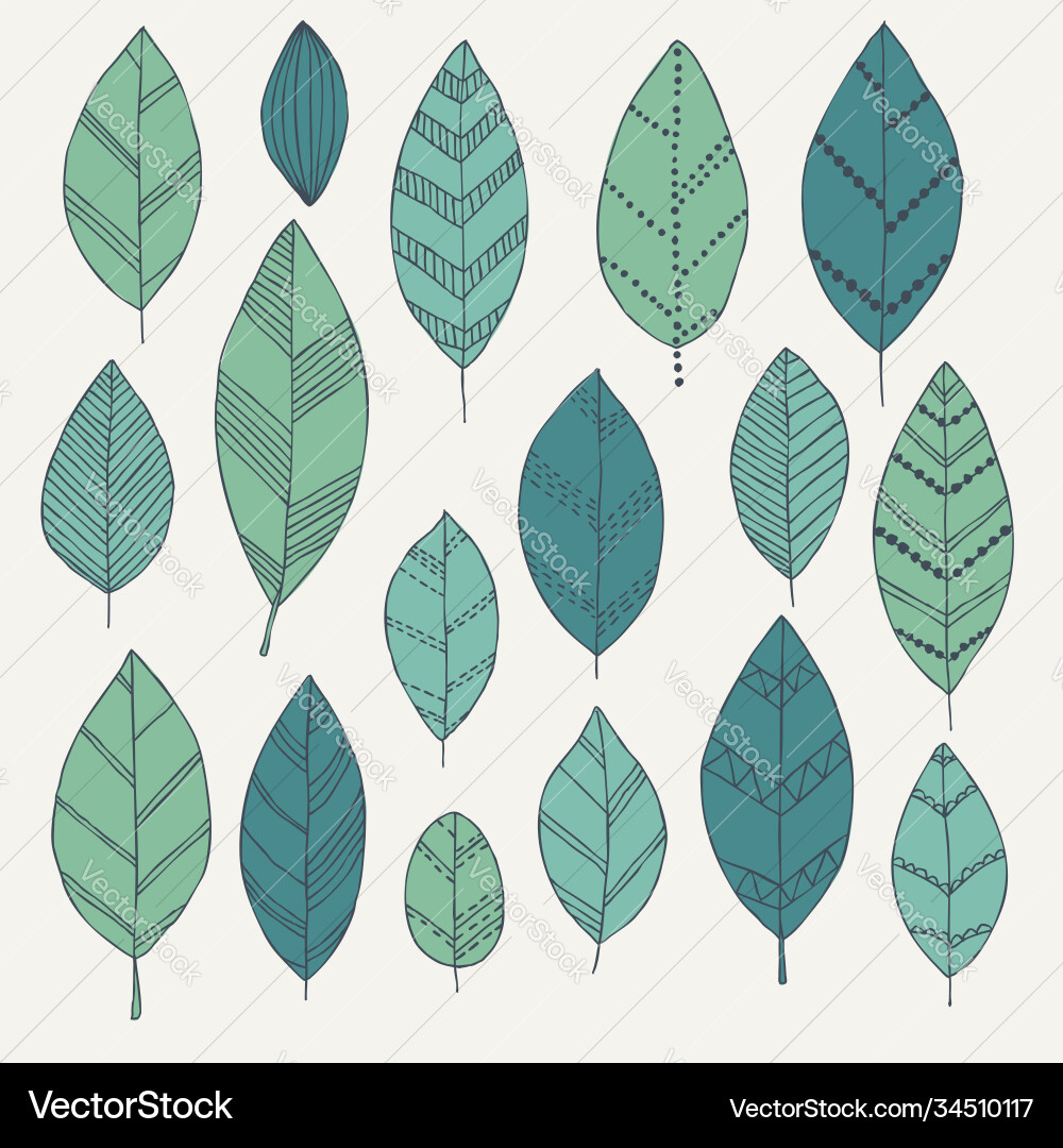 Set doodle isolated vintage leaves doodle Vector Image