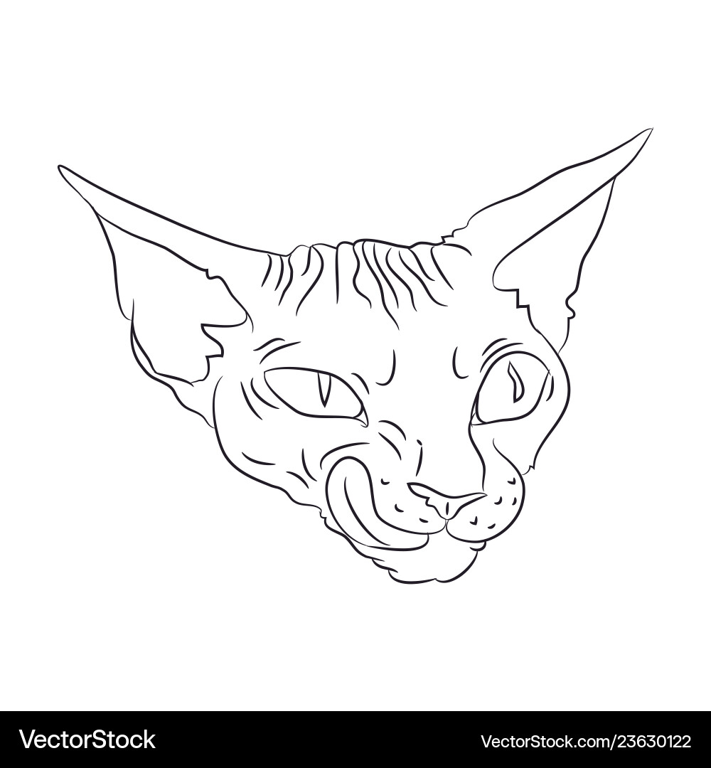 Cat portrait lines Royalty Free Vector Image - VectorStock