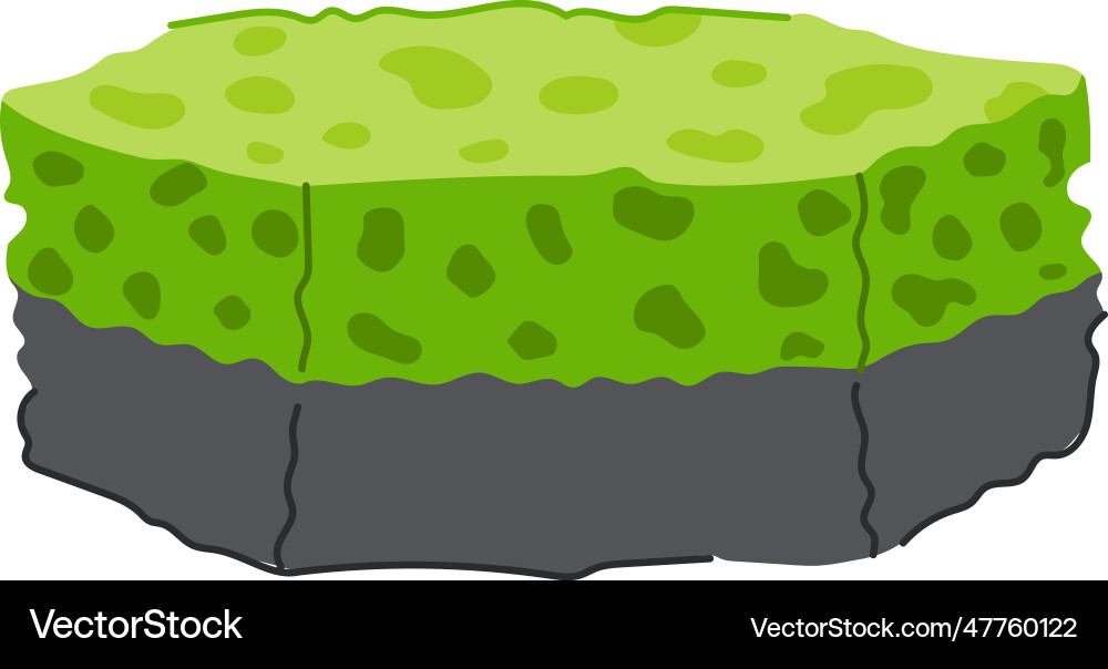 Household sponge hygiene cartoon Royalty Free Vector Image