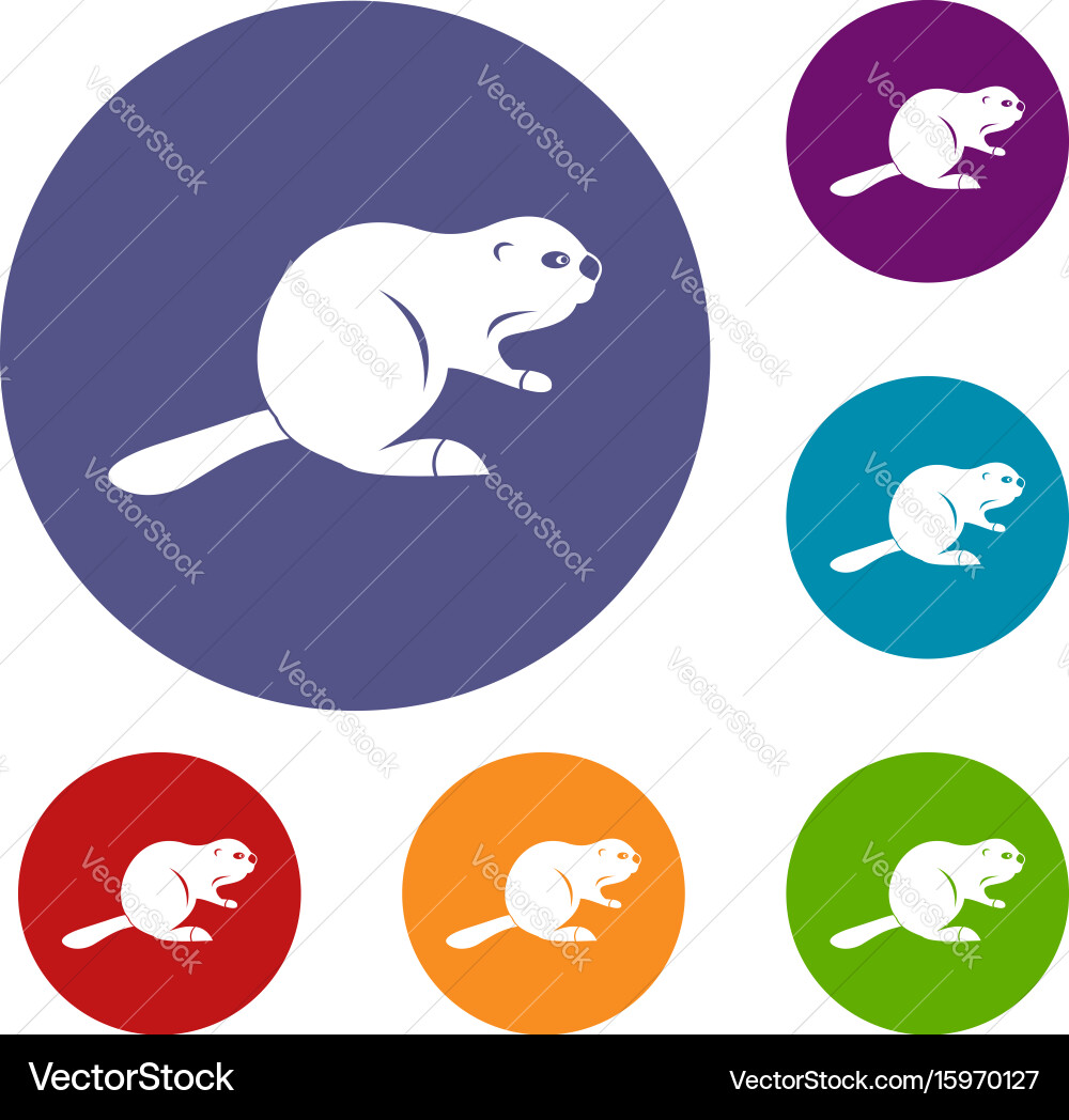 Canadian beaver icons set Royalty Free Vector Image