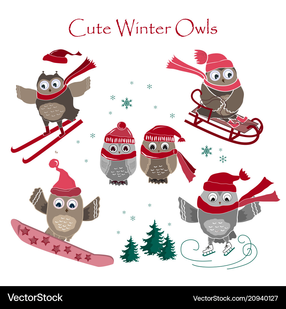 Cute winter owls collection Royalty Free Vector Image