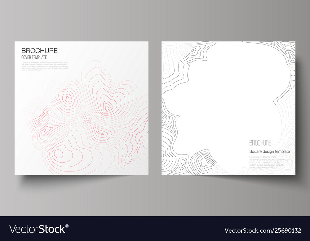 Minimal editable layout Royalty Free Vector Image