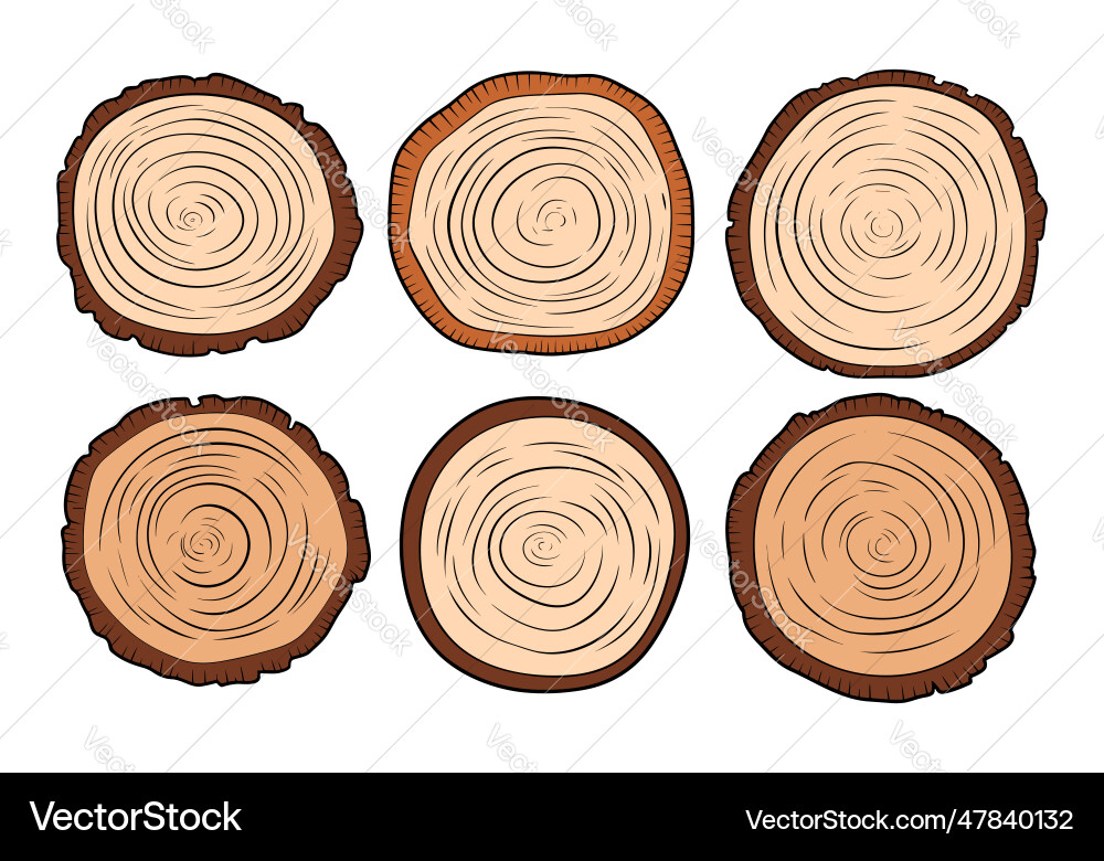 Set of tree stump isolated on white background Vector Image