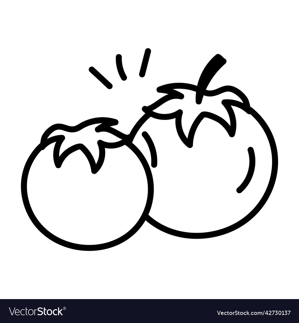 Tomatoes Royalty Free Vector Image - VectorStock