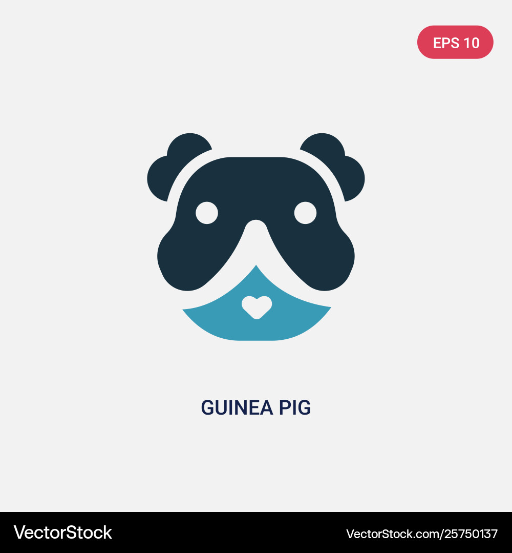 Two color guinea pig icon from animals concept Vector Image