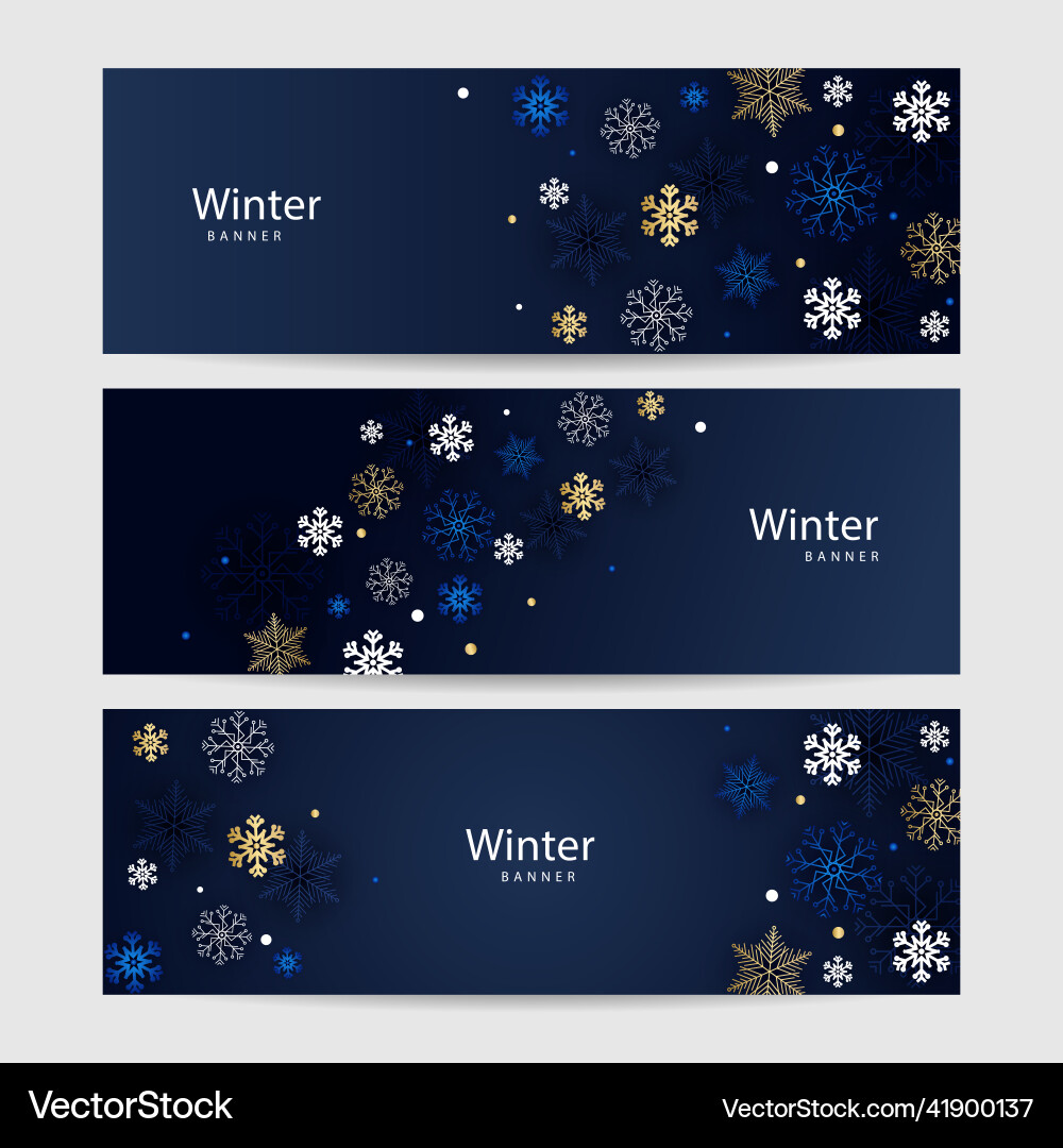 Winter dark blue snowflake design template banner Vector Image