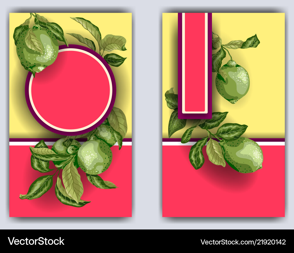 Banner template with citrus branches of lime Vector Image