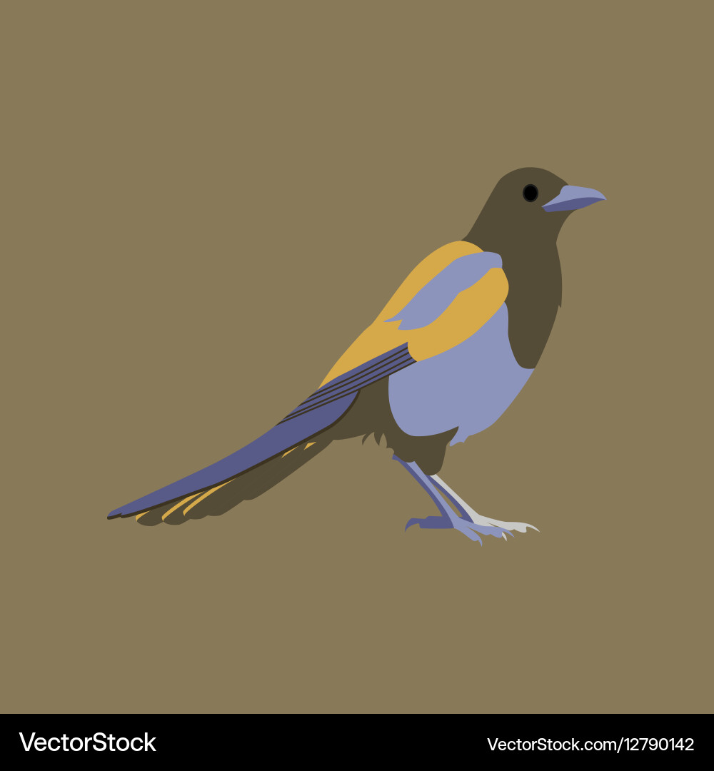 In flat style of magpie Royalty Free Vector Image