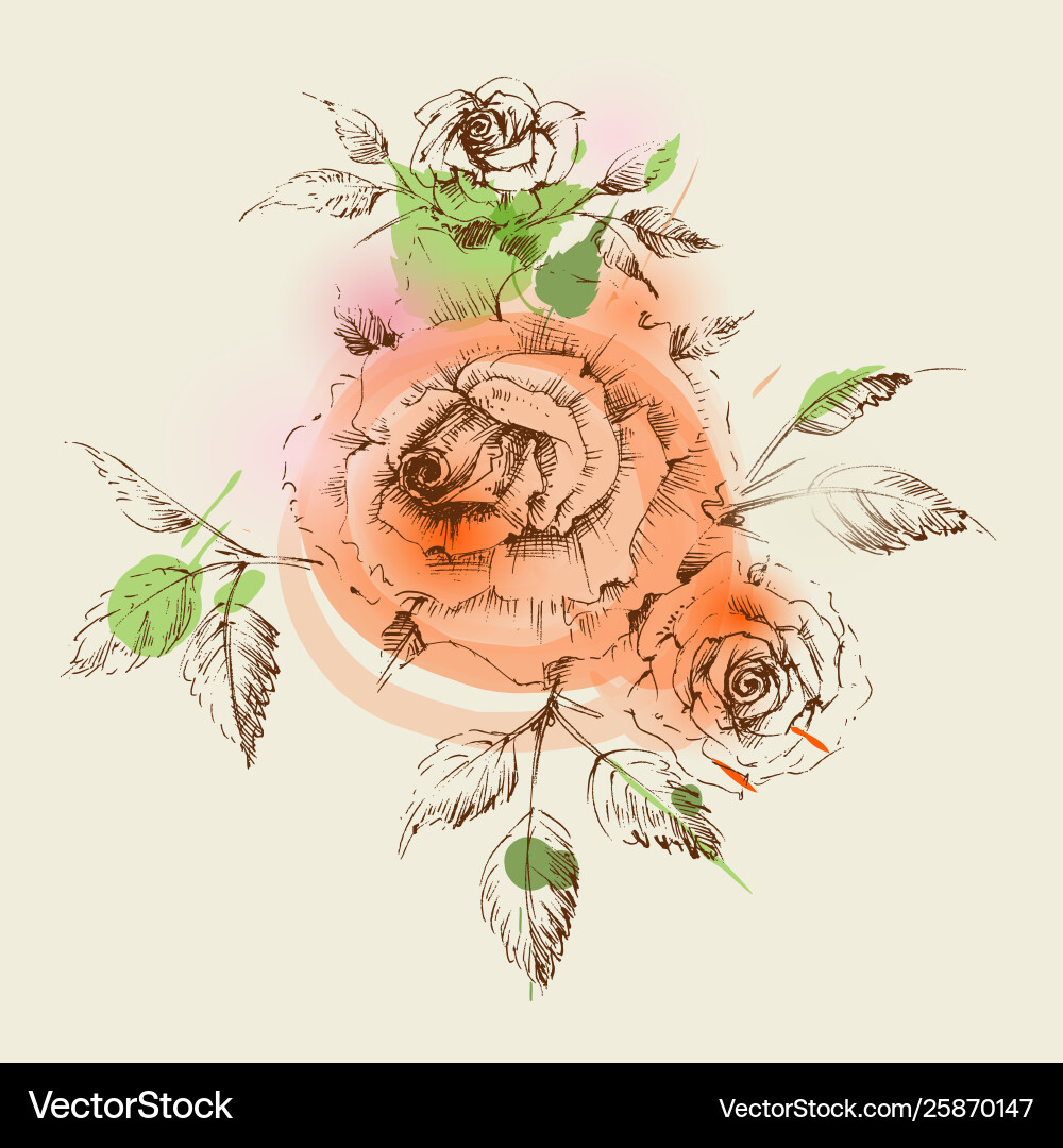 Cute roses decoration for invitations or greeting Vector Image