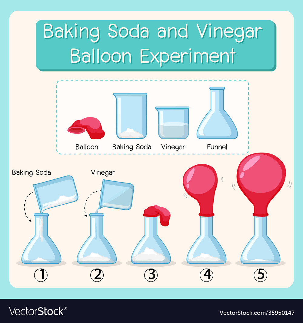 Science Experiment With Baking Soda And Vinegar Vector Image
