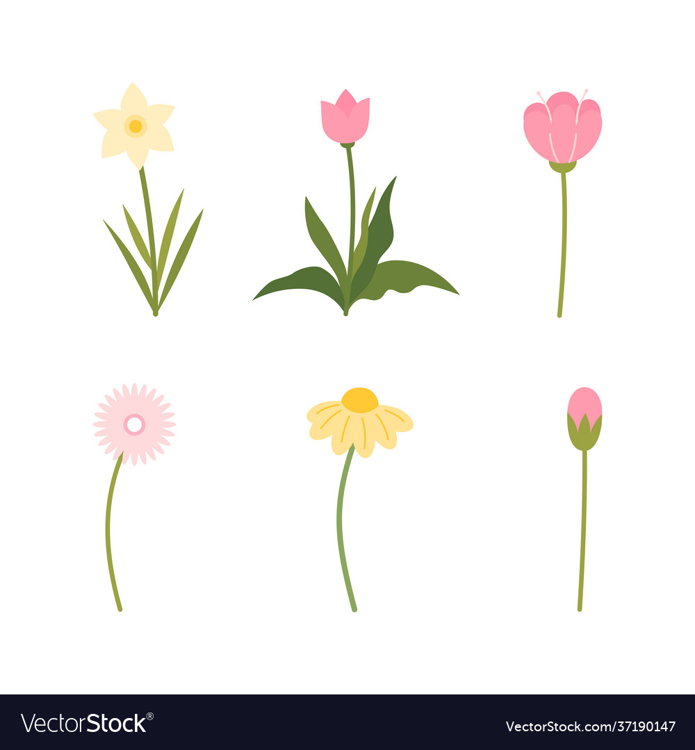 Set spring flowers daffodil tulip daisy Royalty Free Vector