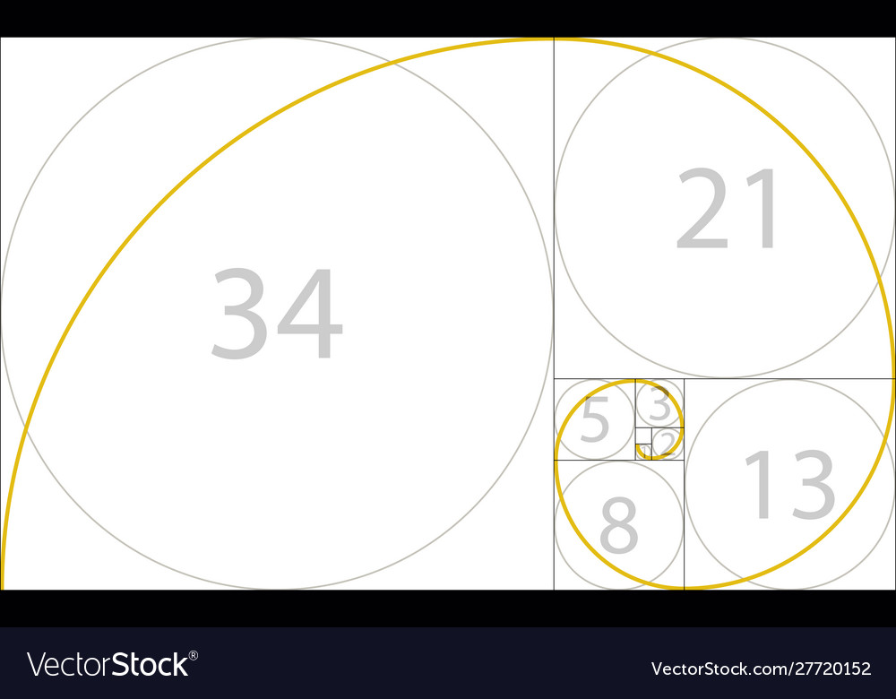 Golden ratio geometric concept fibonacci spiral Vector Image
