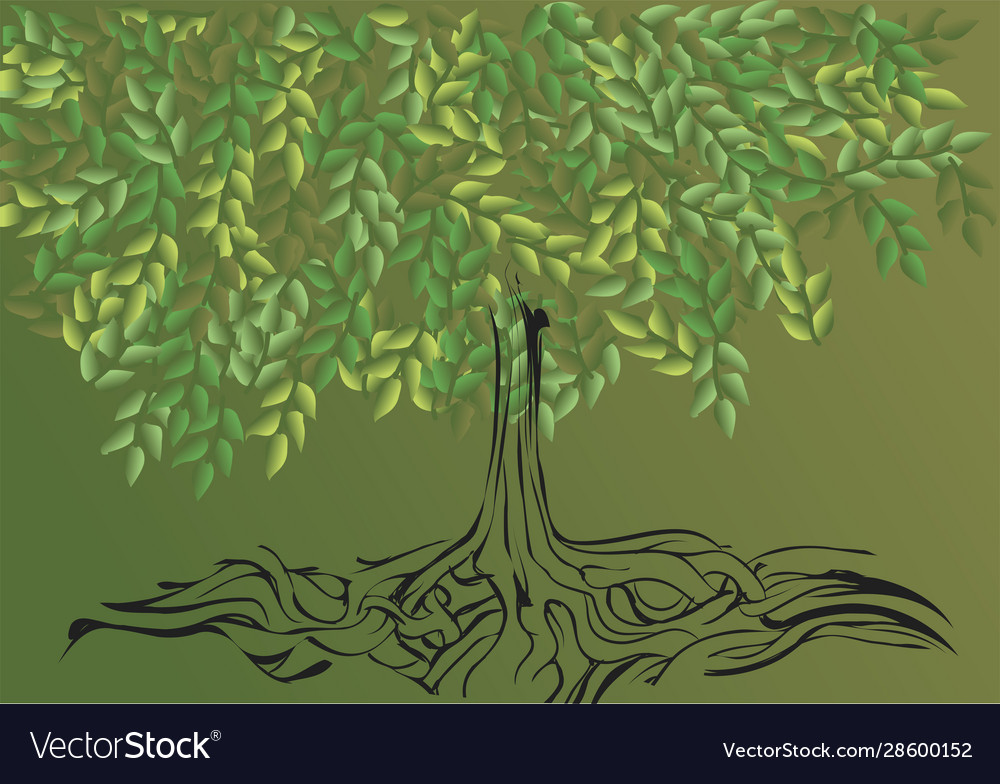 Root systemtree Royalty Free Vector Image - VectorStock