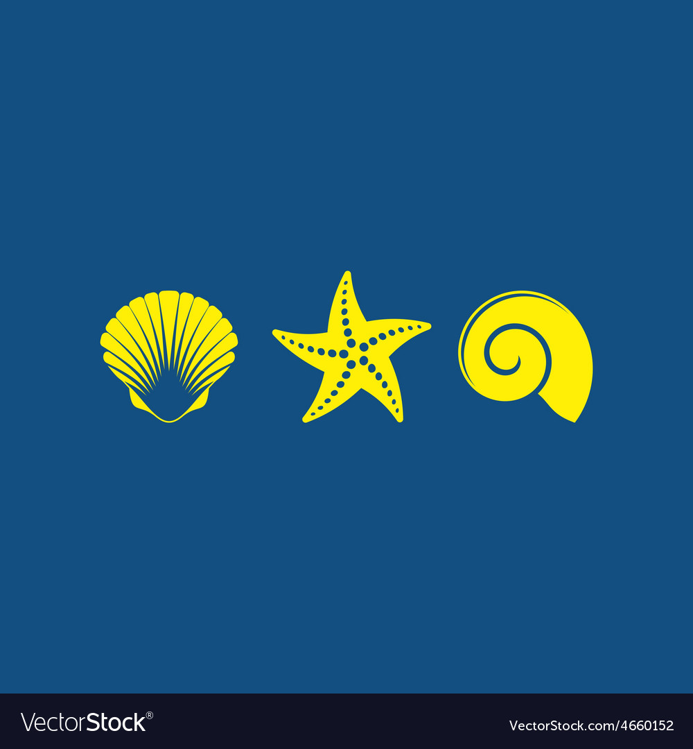 Sea shells Royalty Free Vector Image - VectorStock