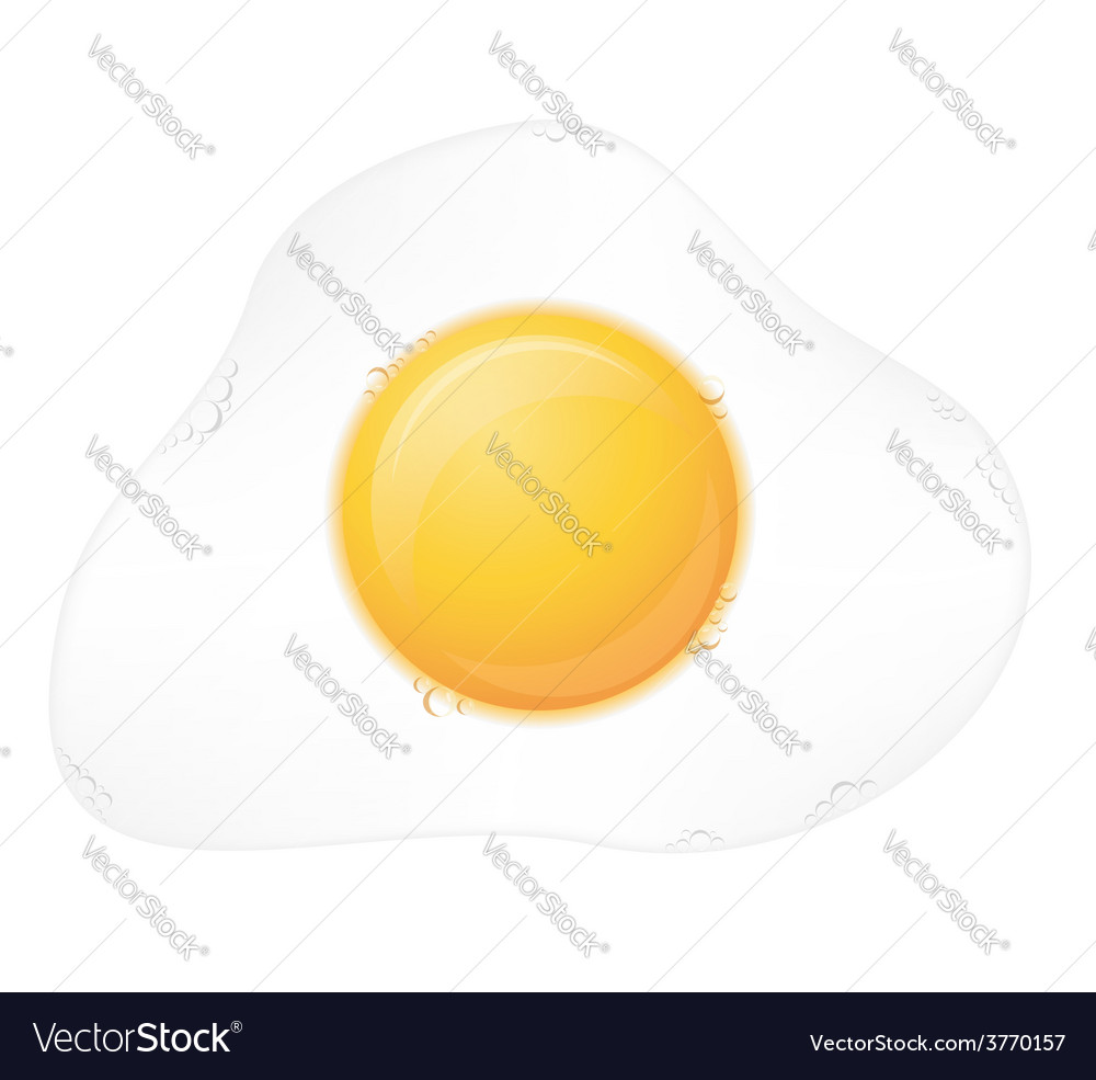 Fried egg Royalty Free Vector Image - VectorStock