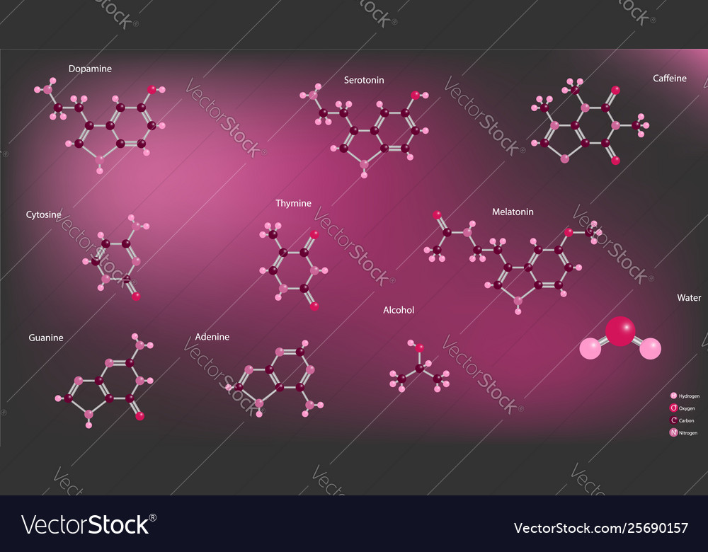 Molecules Royalty Free Vector Image - VectorStock