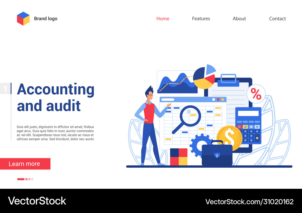 Business accounting and financial audit Royalty Free Vector