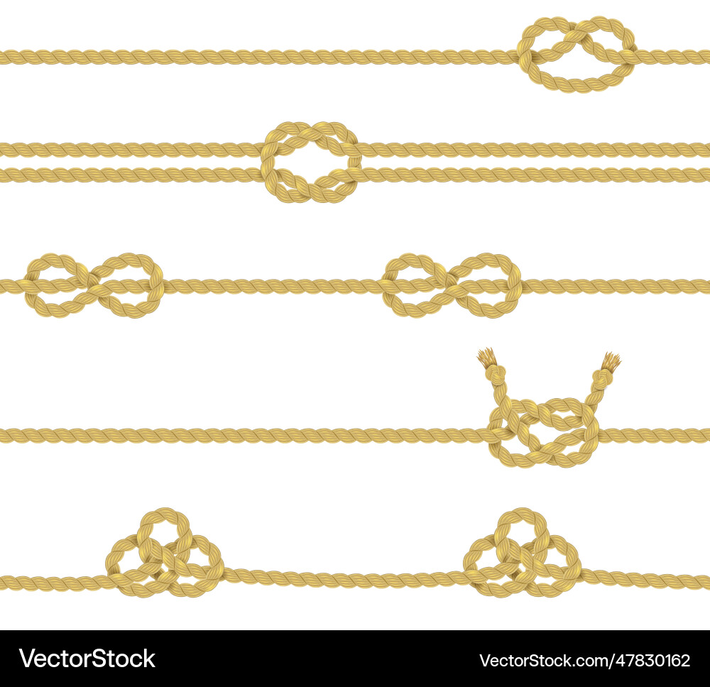 Knitted rope border set knitted rope border set Vector Image