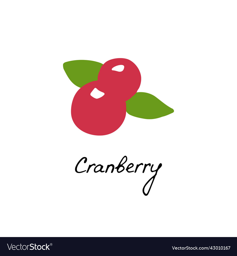Hand drawn cranberry logo for print and web berry Vector Image Hand drawn cranberry logo for print and web berry Vector Image