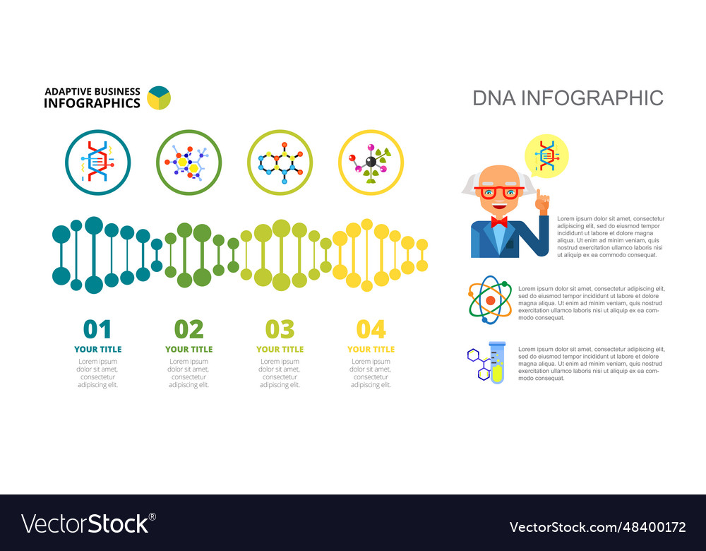 Four dna options slide template Royalty Free Vector Image