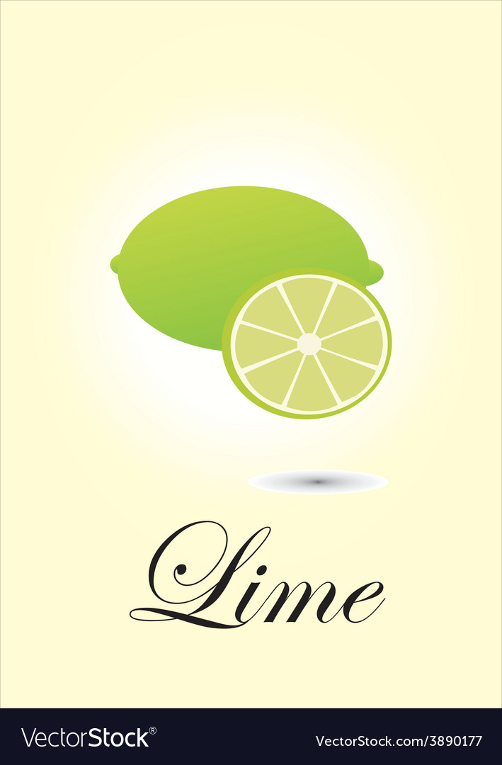 Lime Royalty Free Vector Image - VectorStock