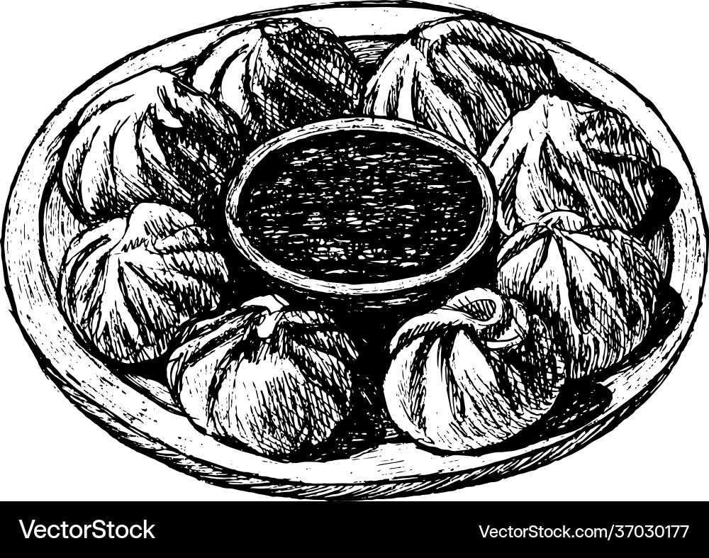 Momos - nepal dumplings realistic sketch Vector Image