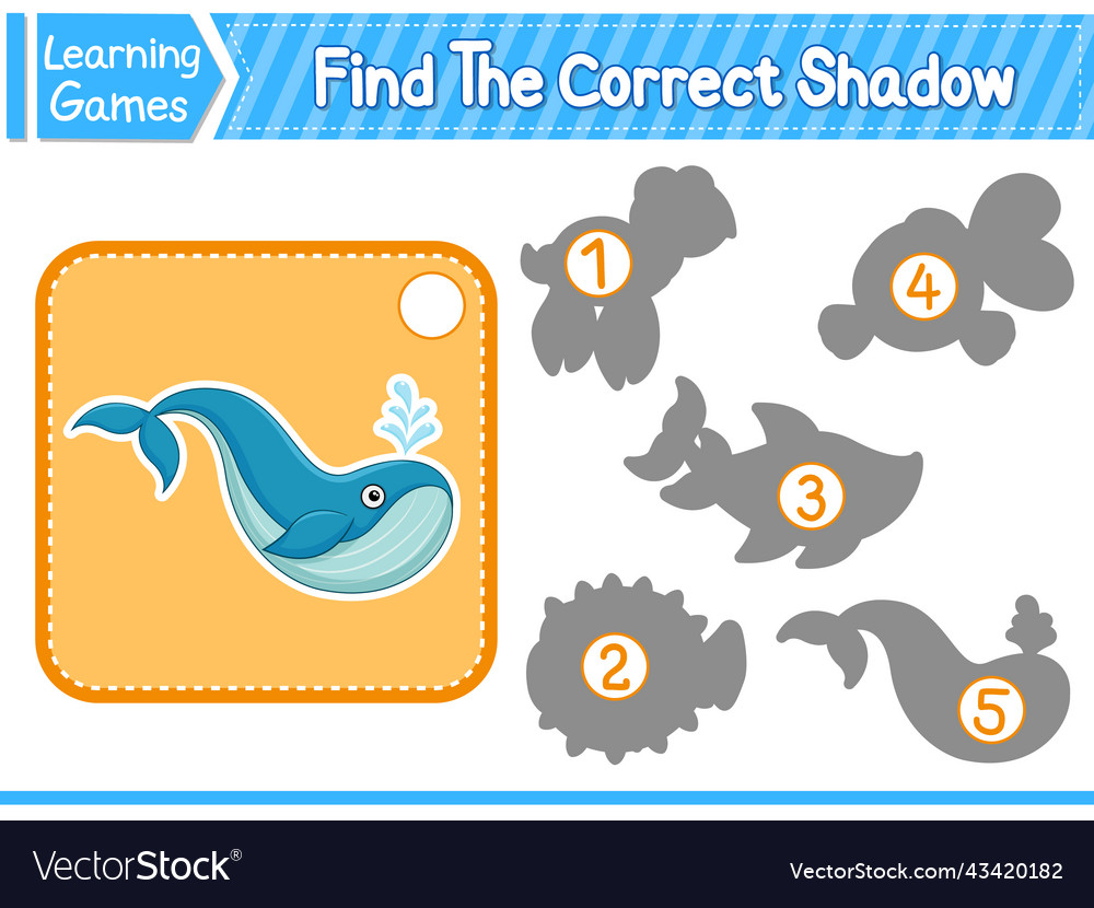 Find the correct shadow and match Royalty Free Vector Image