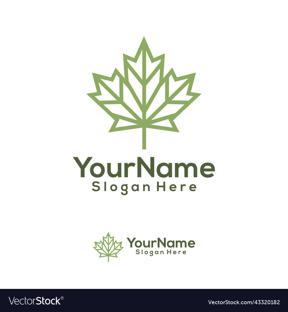 Maple leaf logo design template maple leaf logo Vector Image