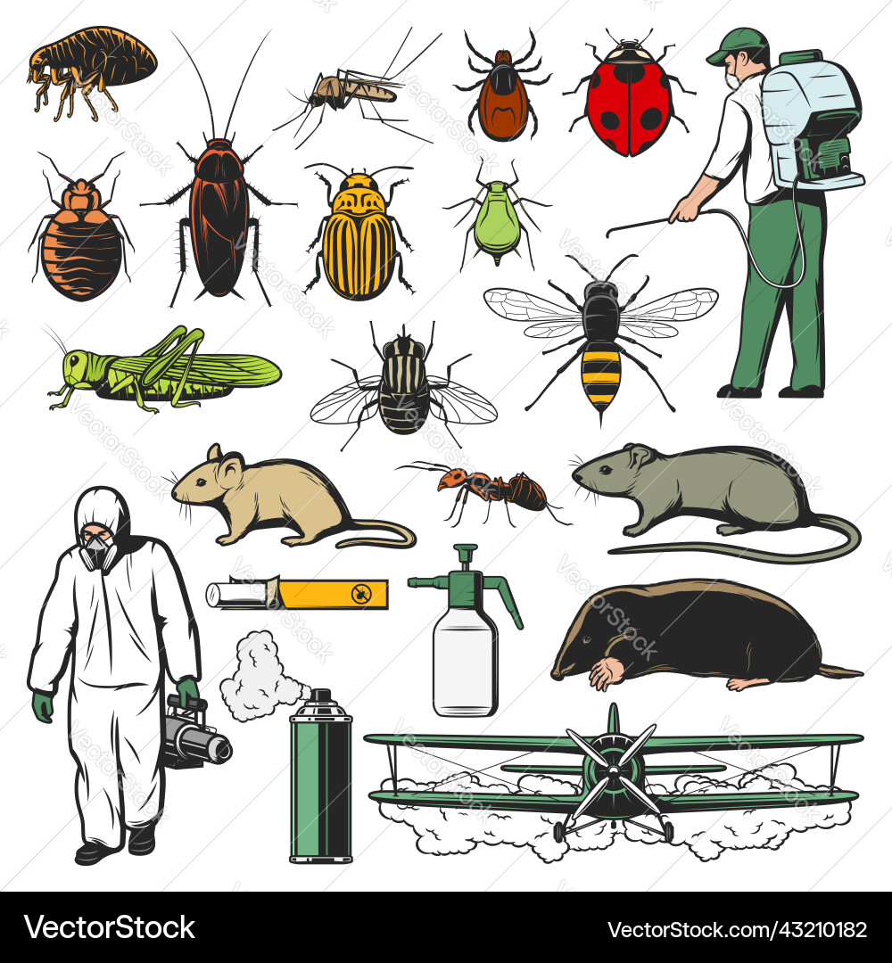 Pests insects and animals disinfection workers Vector Image