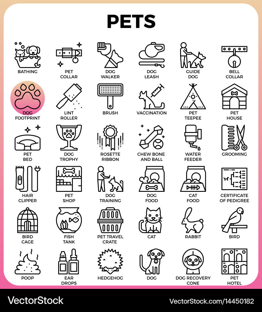 Pets concept detailed line icons Royalty Free Vector Image