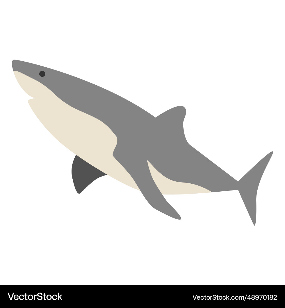 Shark sea animal swimming Royalty Free Vector Image