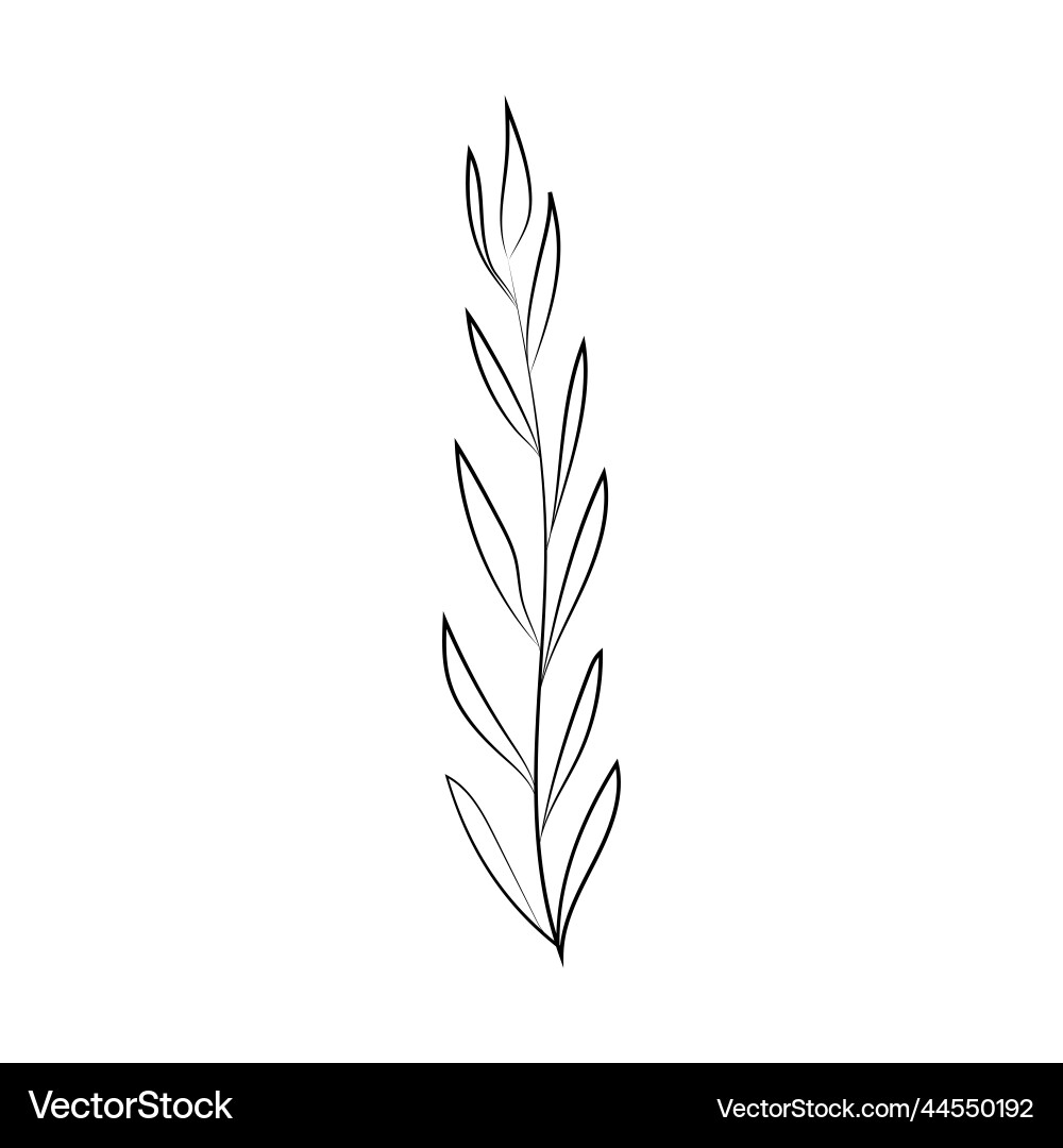 A flower silhouette of twig Royalty Free Vector Image