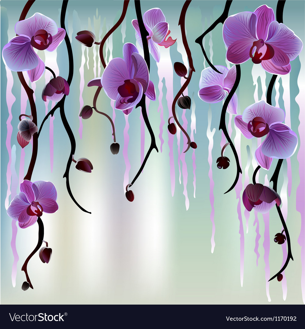Background with orchids Royalty Free Vector Image