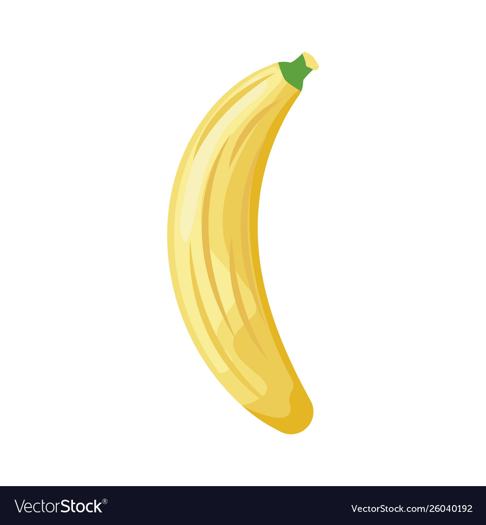 Fresh banana fruit healthy isolated icon Vector Image