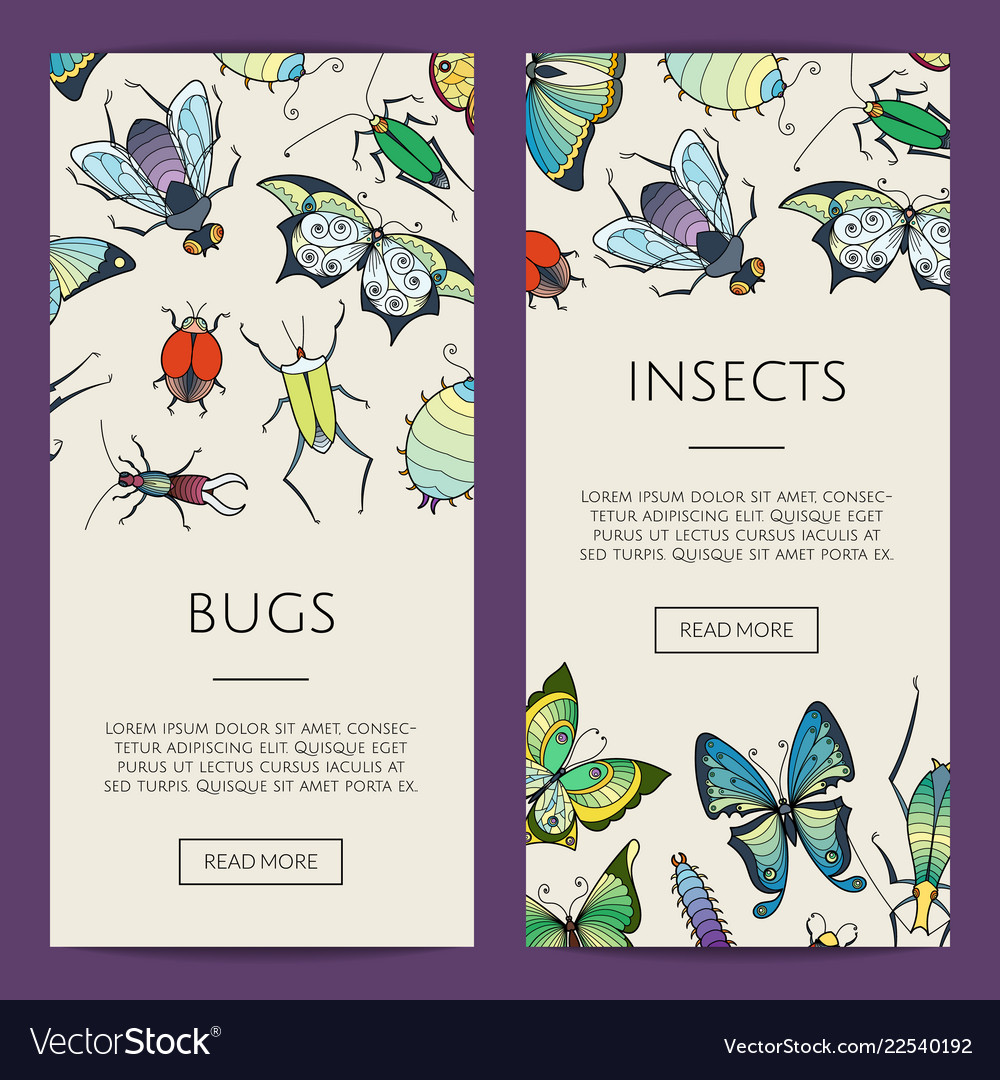 Hand drawn insects web banner Royalty Free Vector Image