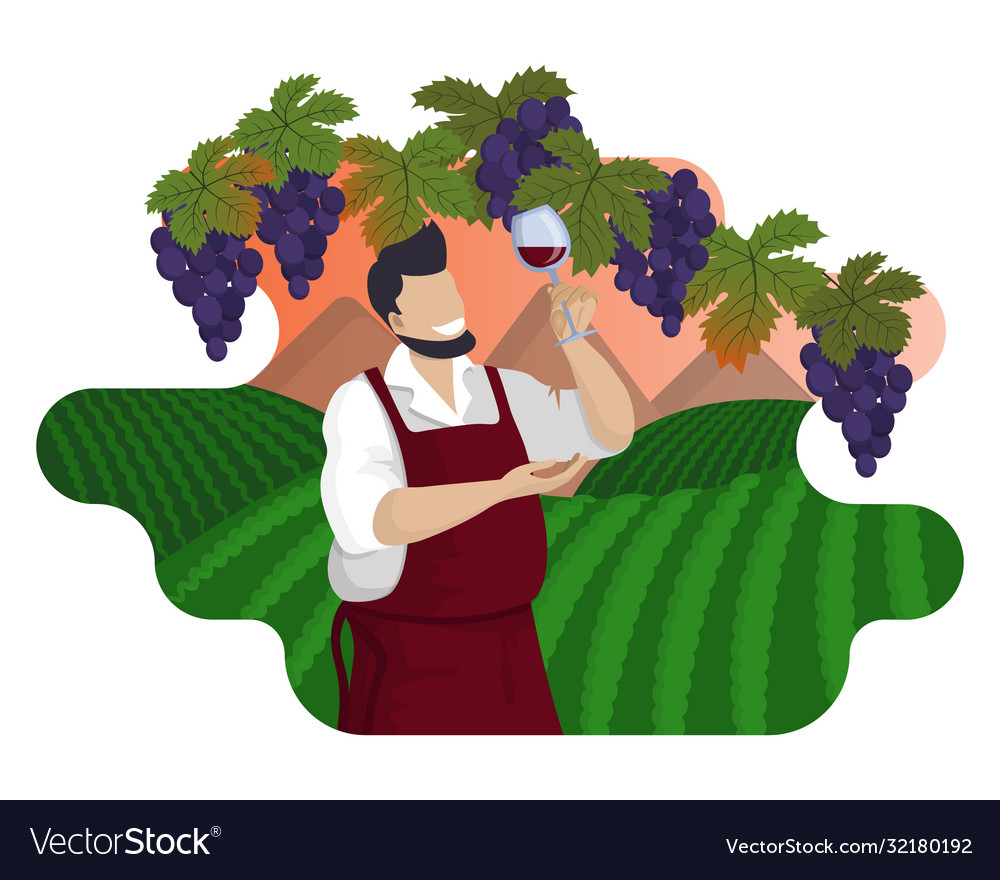 Male winemaker is tasting red wine background of Vector Image Male winemaker is tasting red wine background of Vector Image