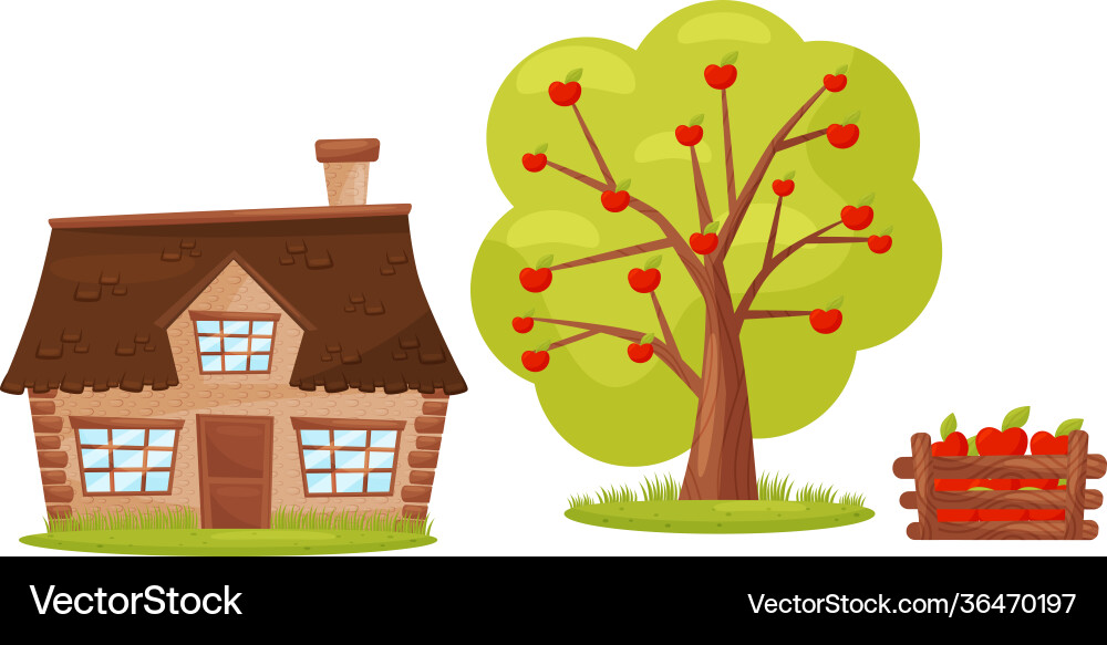 Village house apple tree and crate with fruit as Vector Image