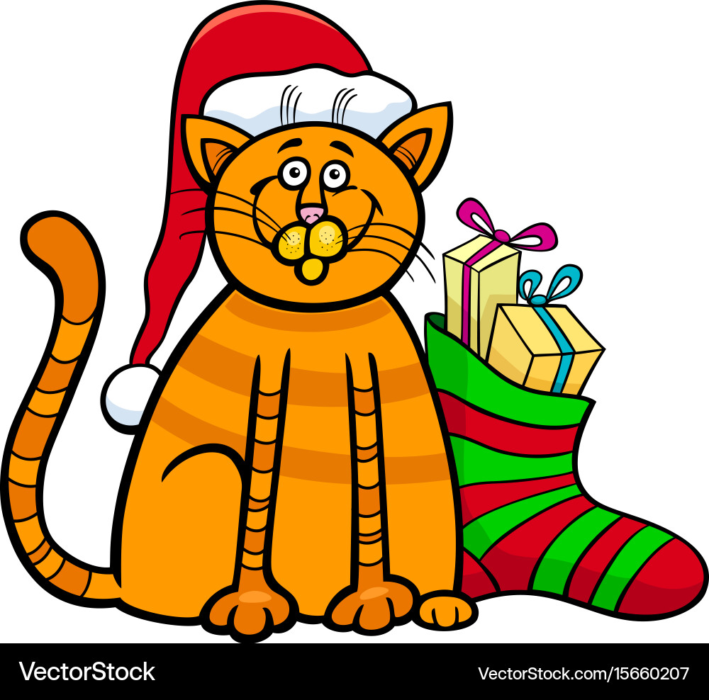 Cat with gifts on christmas time Royalty Free Vector Image