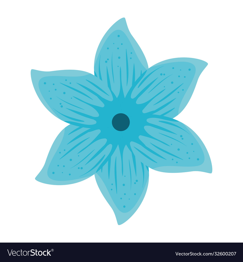 Flower blue color spring concept on white Vector Image