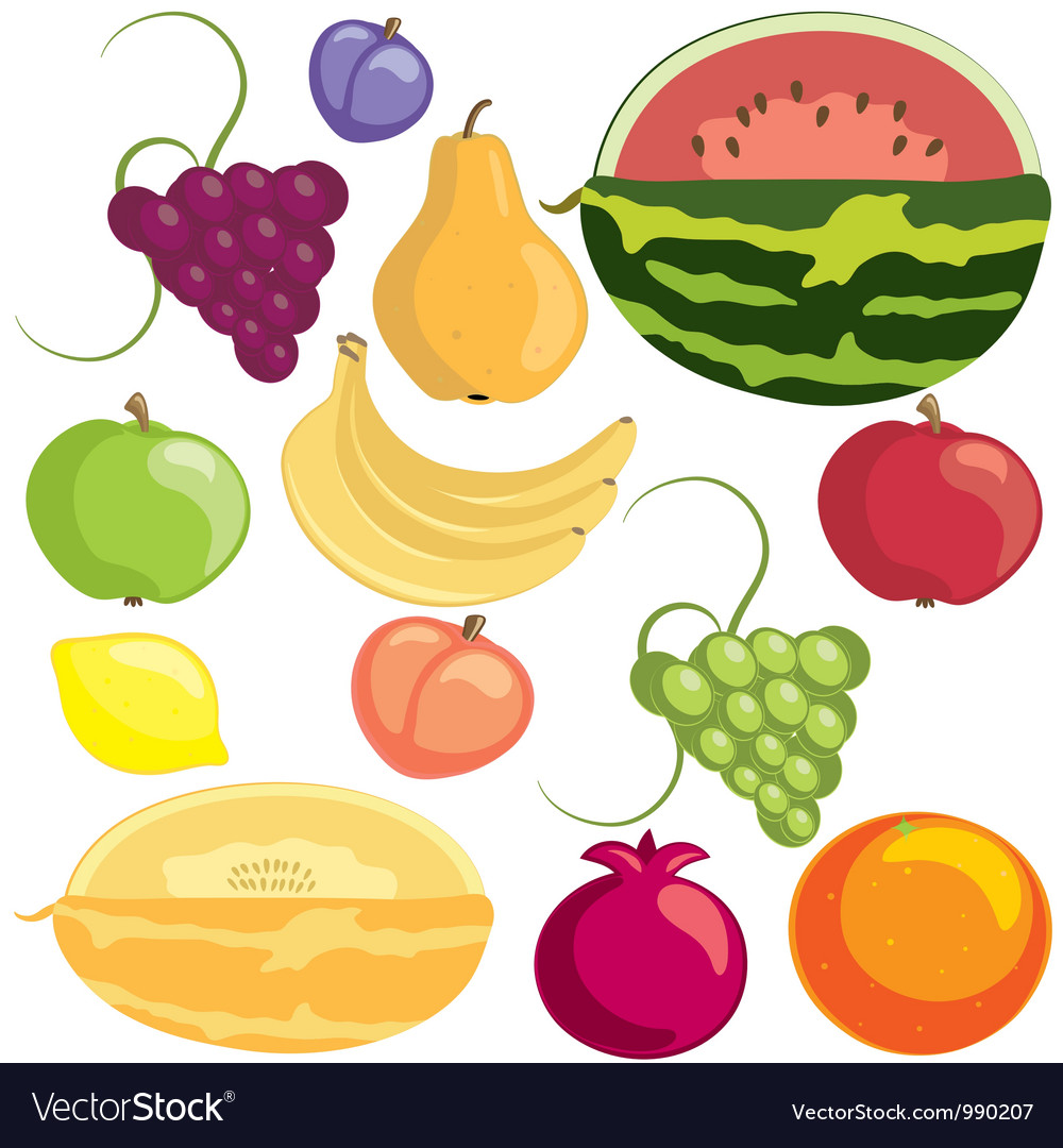 Fruits Royalty Free Vector Image - VectorStock