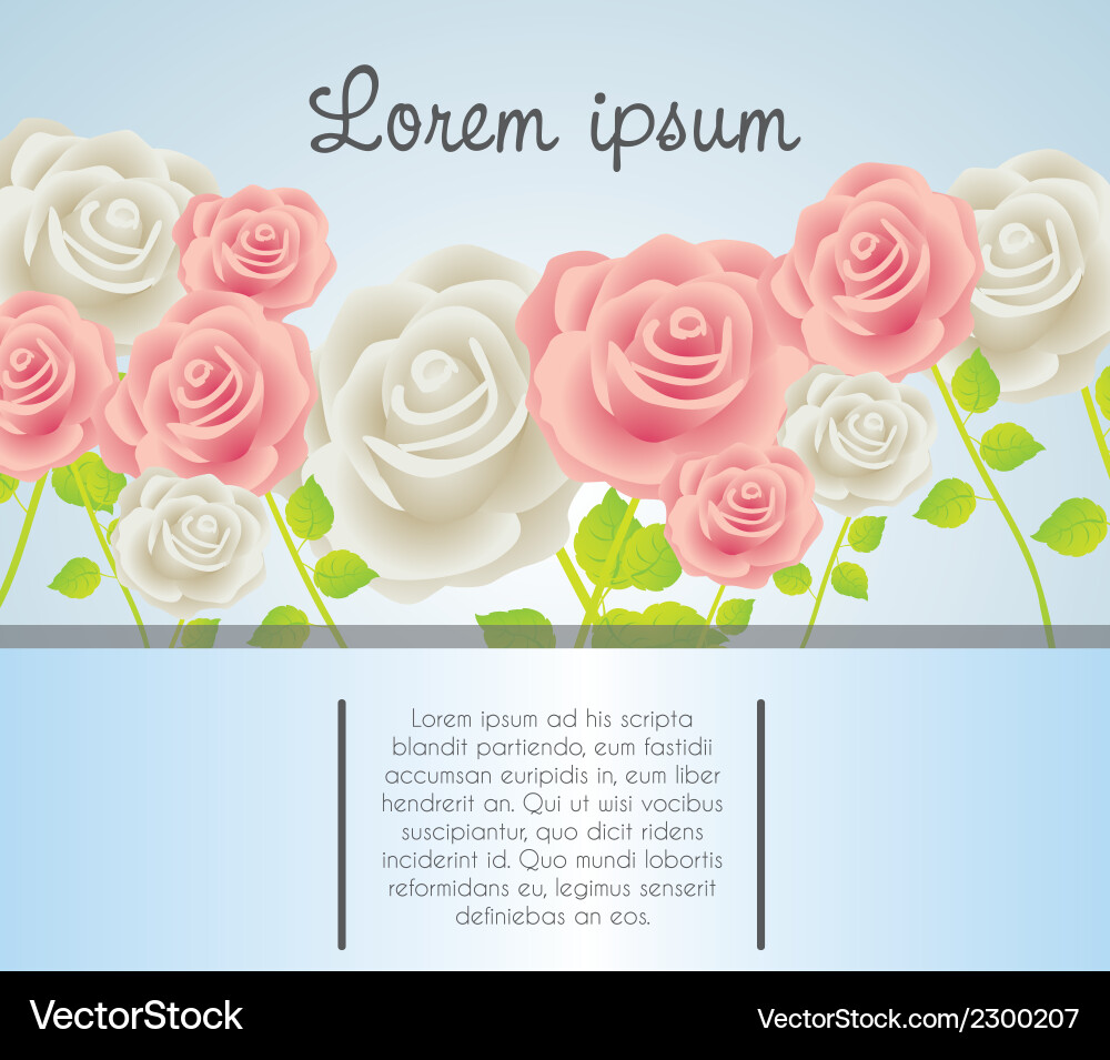 Invitation card with colorful roses Royalty Free Vector