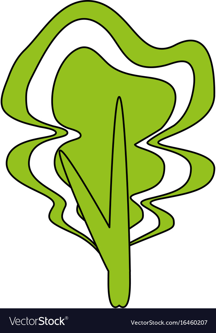 Spinach Royalty Free Vector Image - VectorStock Spinach Royalty Free Vector Image - VectorStock