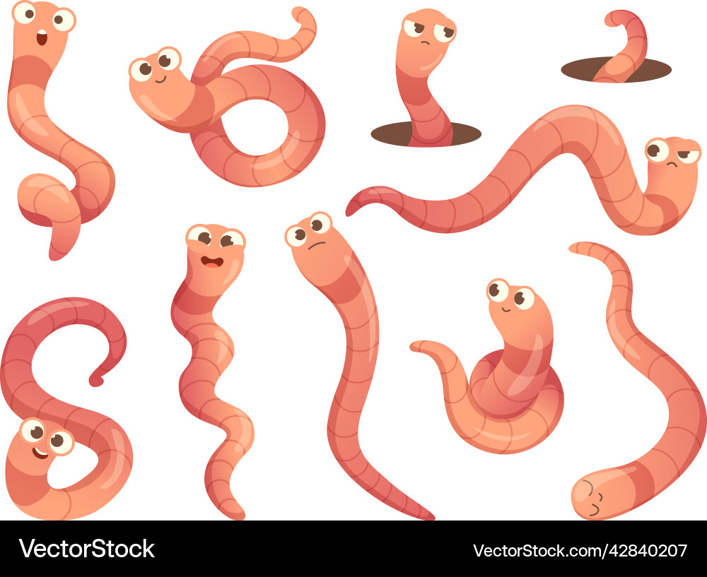 Worms cartoon insects in action poses bugs mascot Vector Image