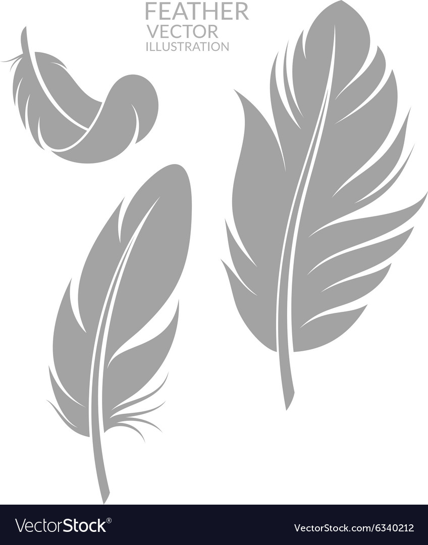 Feather set Royalty Free Vector Image - VectorStock