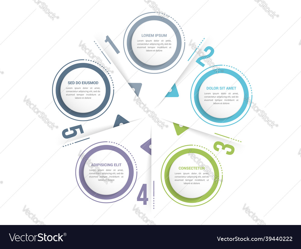 Circle infographics - five elements Royalty Free Vector