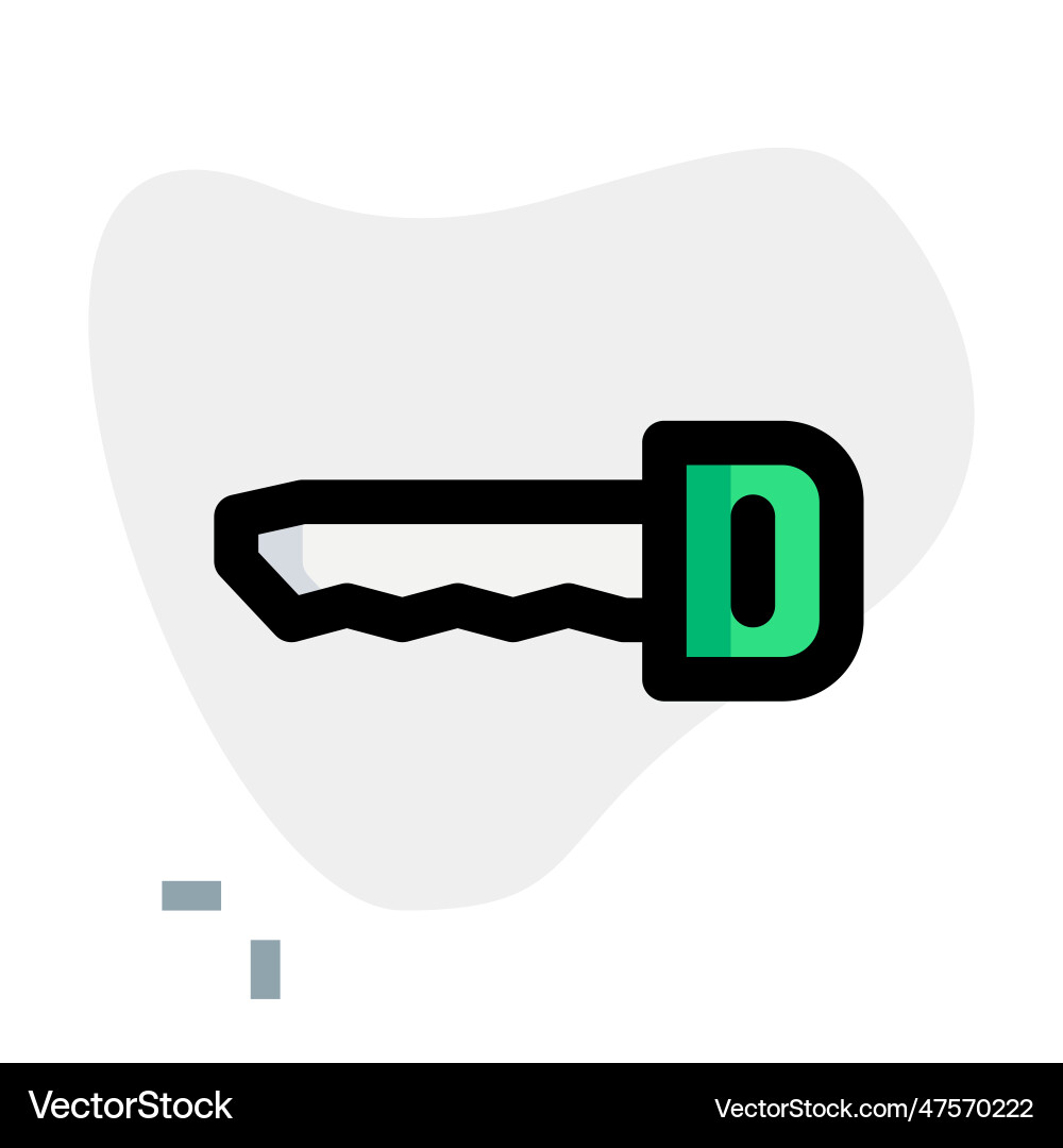 Key a piece of information in cryptography Vector Image
