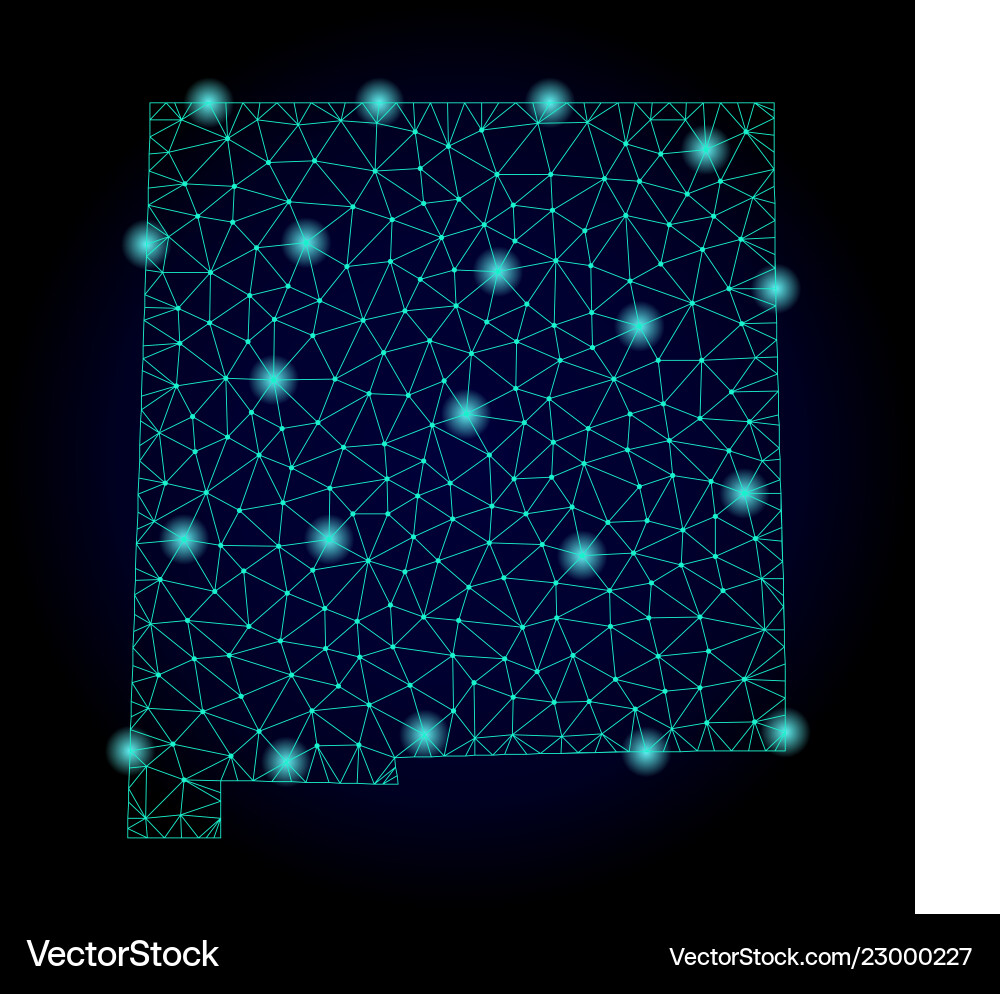 Polygonal wire frame mesh map of new mexico state Vector Image