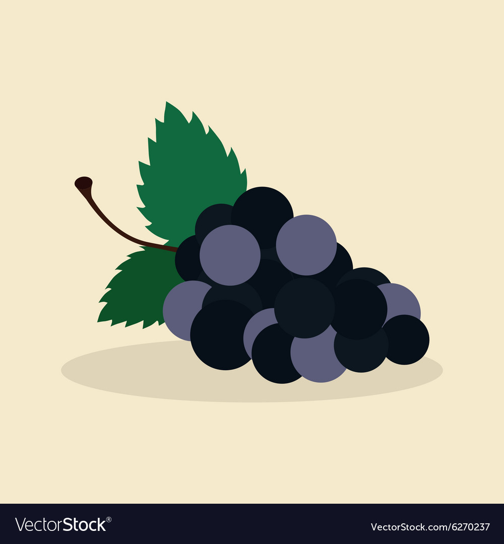 Grape Royalty Free Vector Image - VectorStock