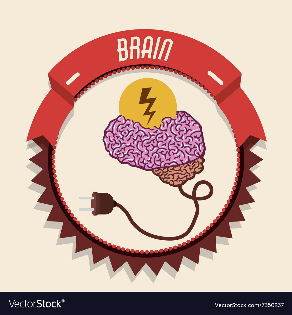 Human brain design Royalty Free Vector Image - VectorStock